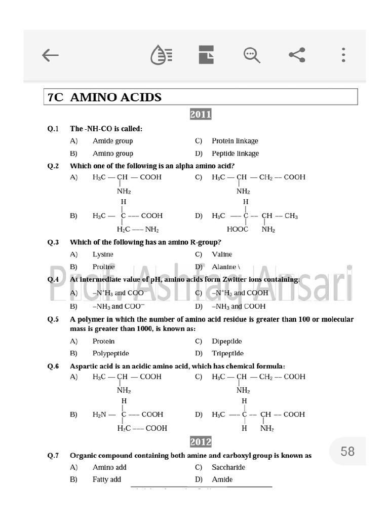 Amino Acids | PDF