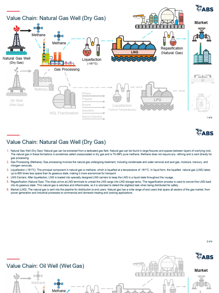 Dry Gas and Wet Gas Value Chains | PDF