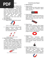 Macam Dan Bentuk Magnet | PDF