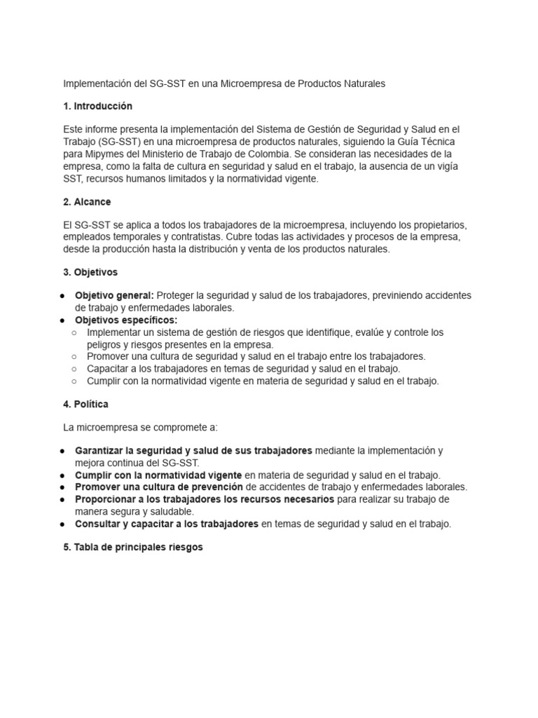 Elabora Un Informe Que Contenga El SG-SST (Guía T... | PDF