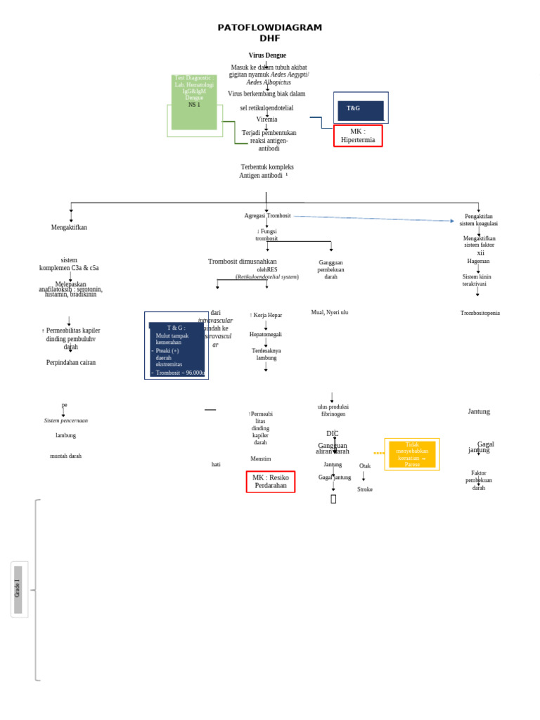 Patoflowdiagram DHF | PDF