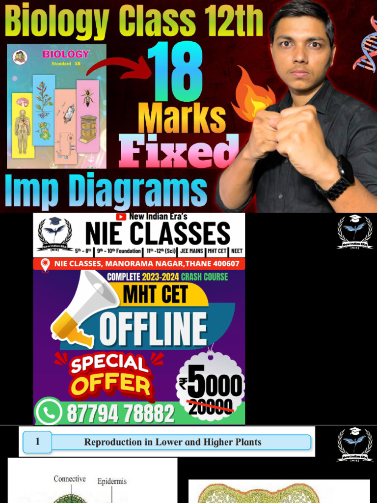 iMP BIO DIAGRAMS | PDF