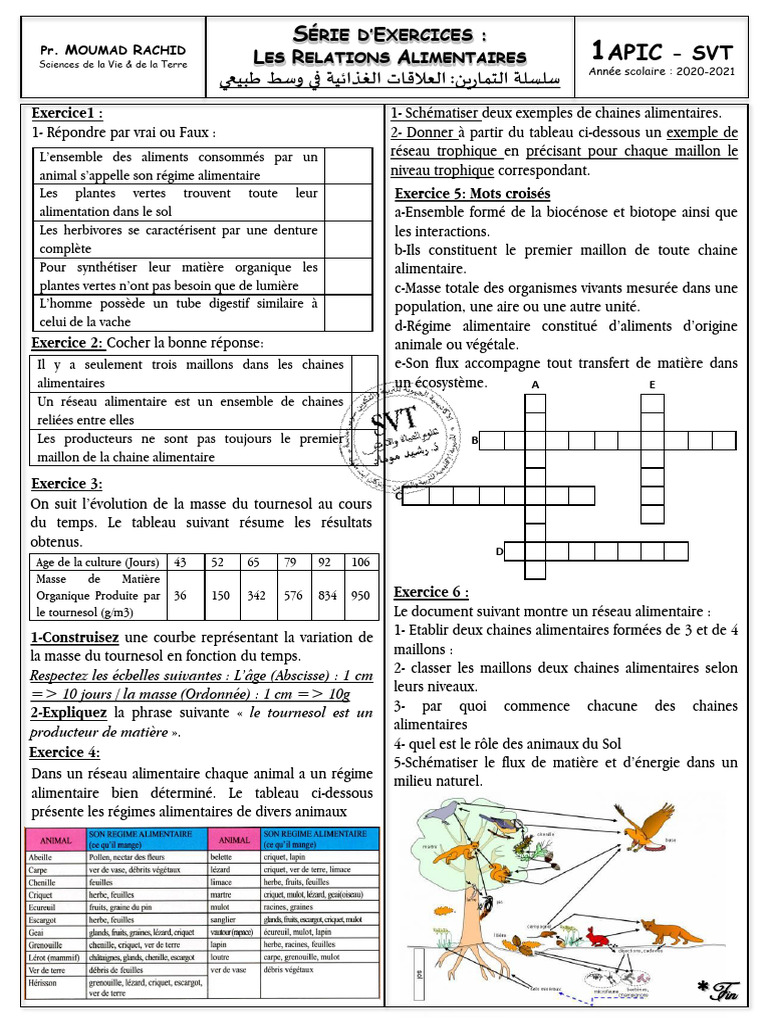 Exercices - 1APIC - Les Chaines Alimentaires | PDF