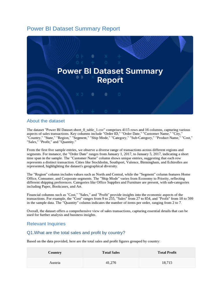 Power BI Dataset Summary Report | PDF