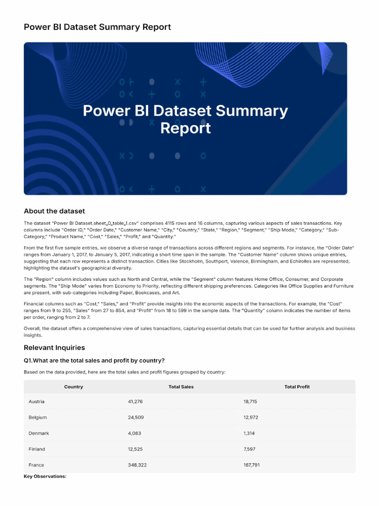 Power BI Dataset Summary Report | PDF
