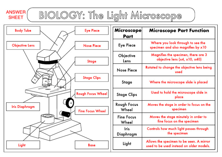 GCSE Biology Microscope Answer Sheet | PDF