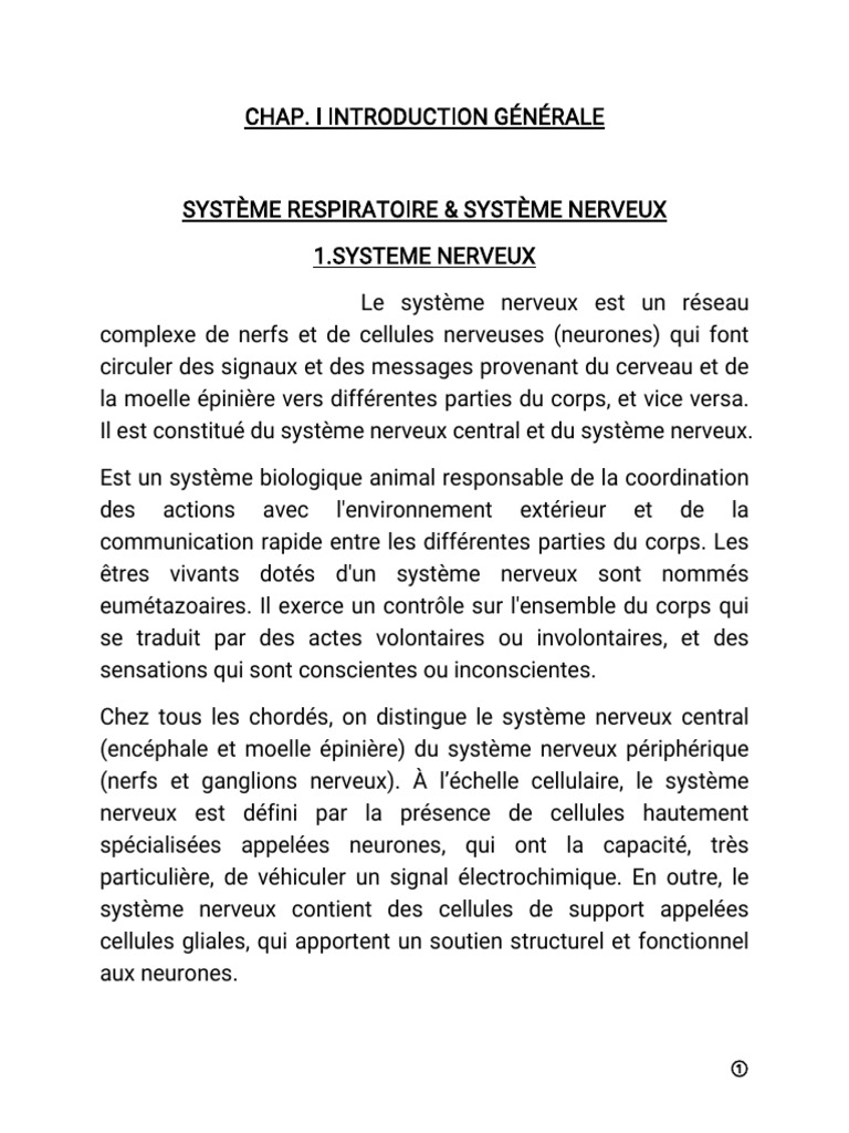 TP Sabria | PDF