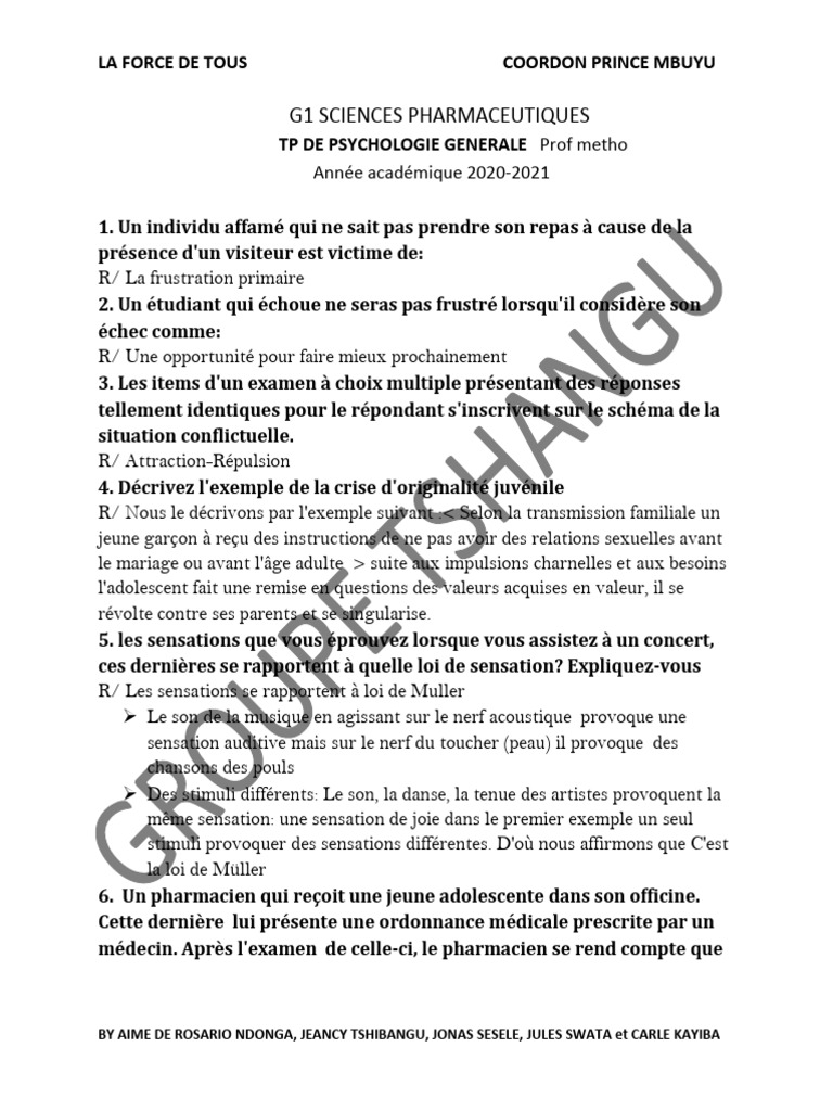 TP Psycho Gpe Tshangu | PDF