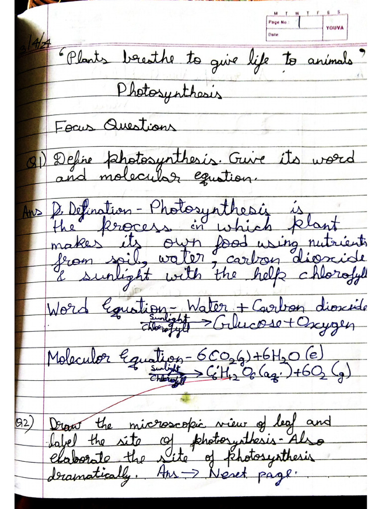 Science Copy Work | PDF