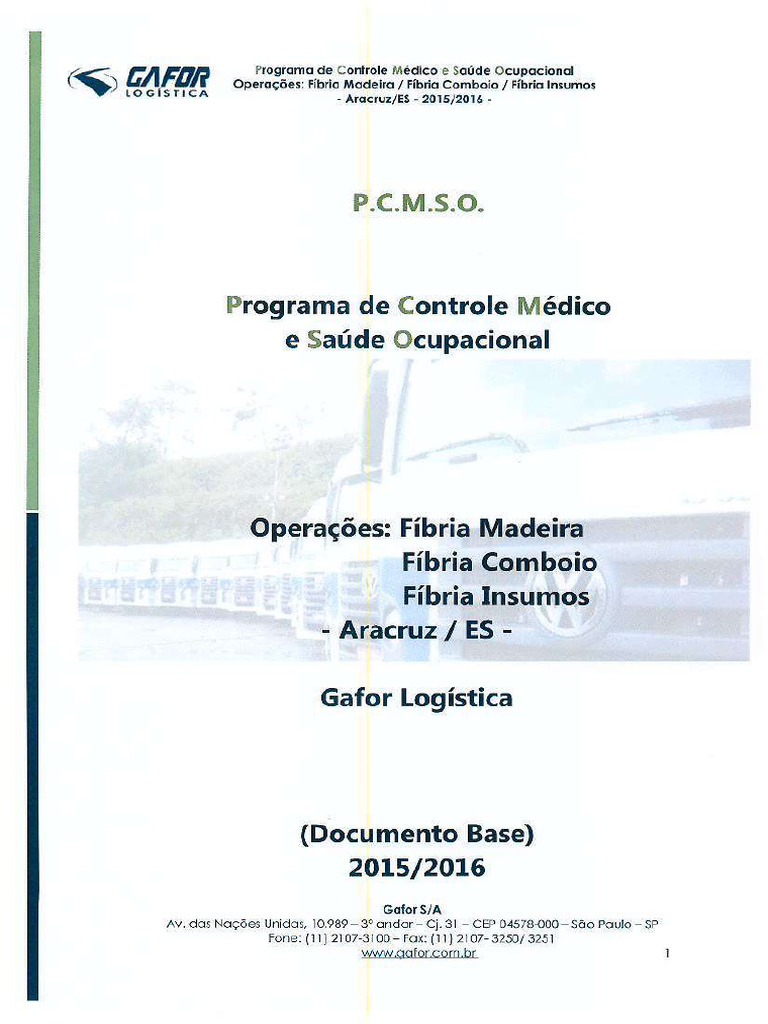 Gafor - 2015-2016 - PCMSO - Aracruz - ES - Rubrica - PARTE 1 | PDF