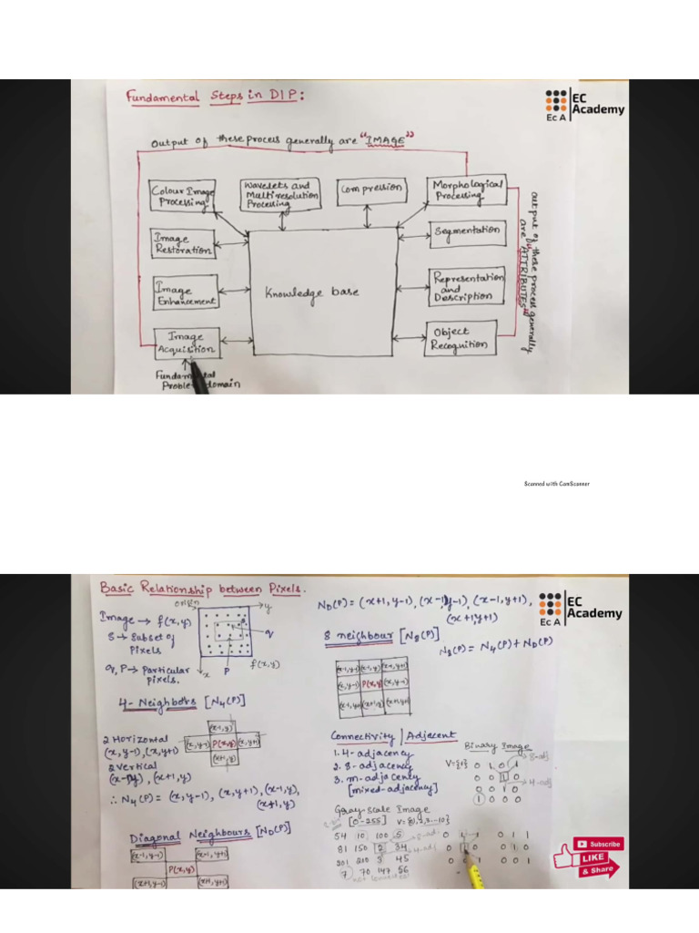 DIP Unit 1 Long QB | PDF