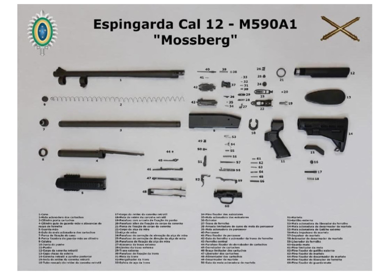 Cal 12 Explodido | PDF