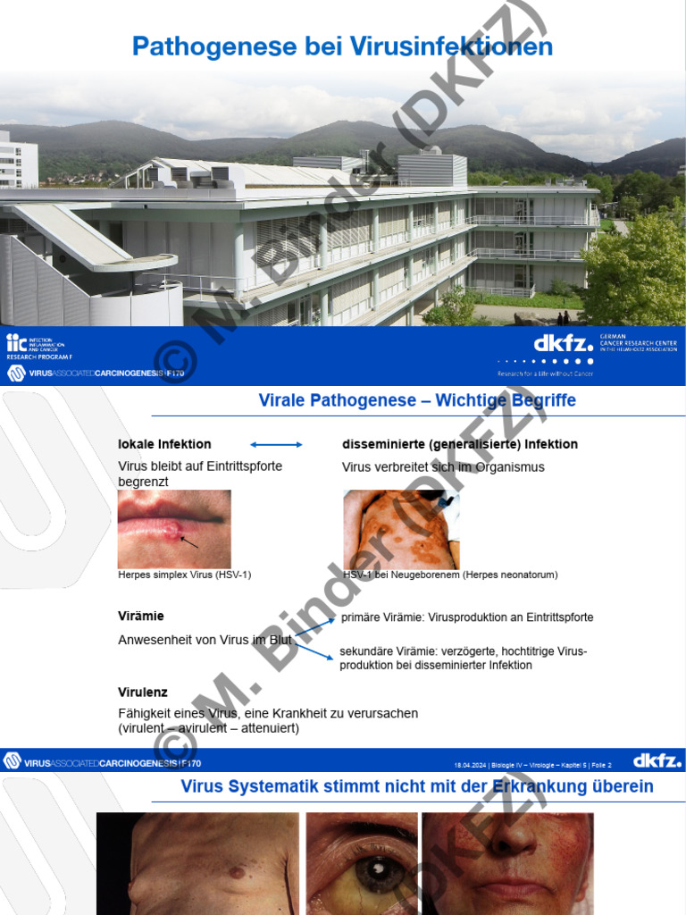 Virologie Teil 5 - Pathogenese Von Virusinfektionen | PDF
