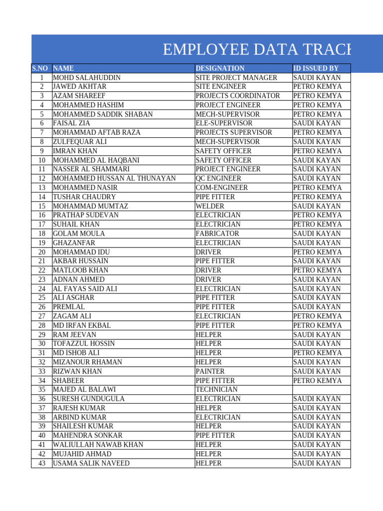 Employee Data Track Sheet | PDF