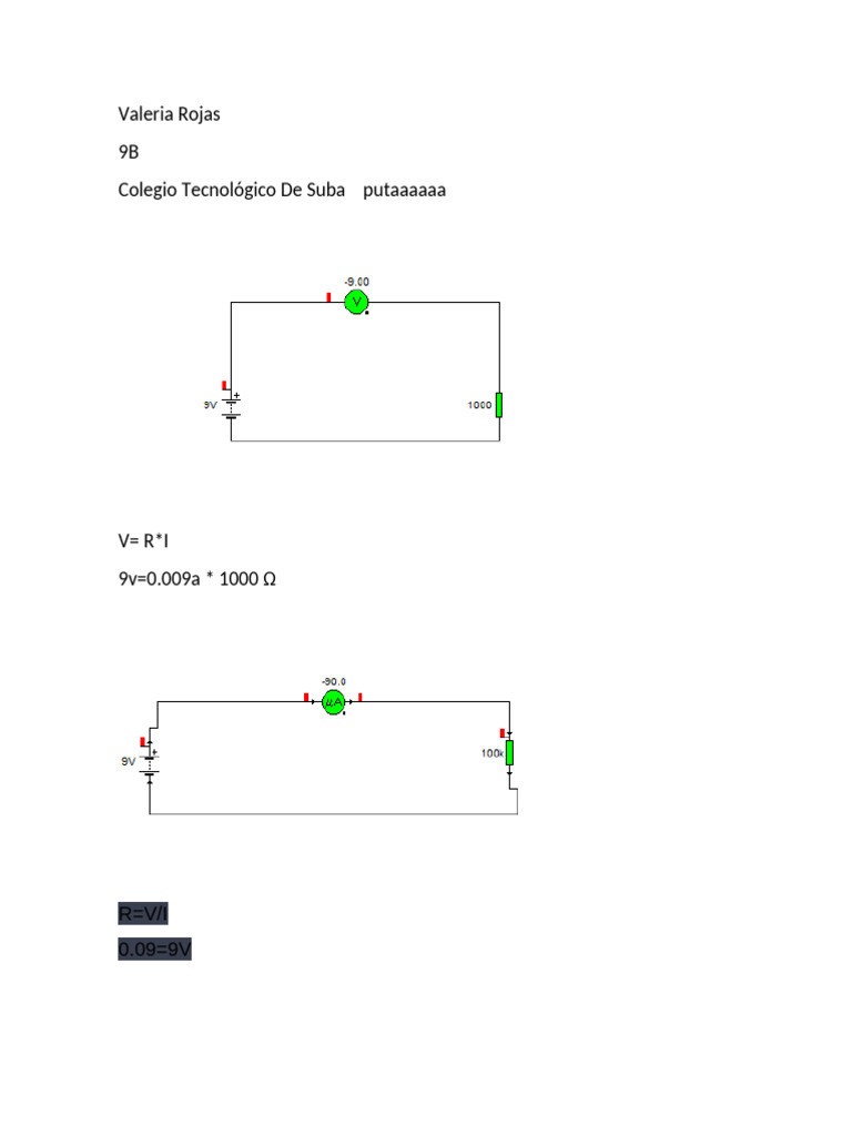 Valeria Rojas Hernández | PDF