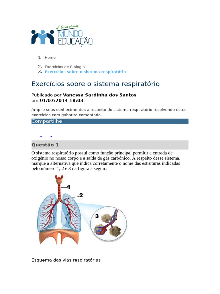 Ex Sistema Respiratórios | PDF