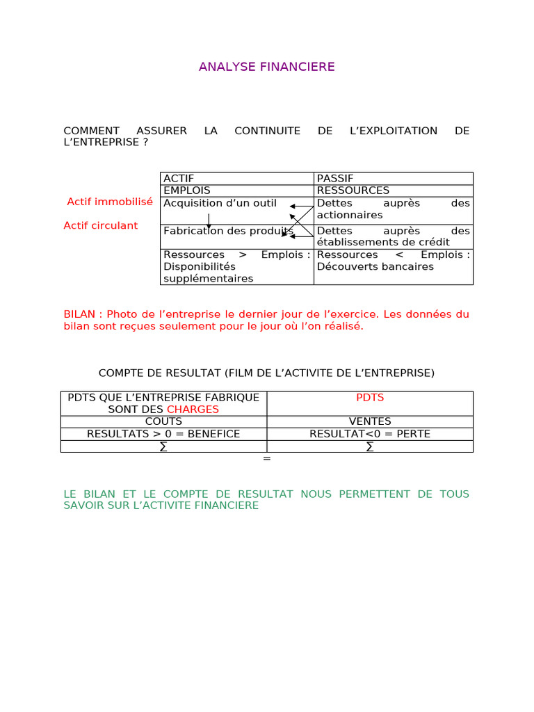 Analyse Financiere | PDF