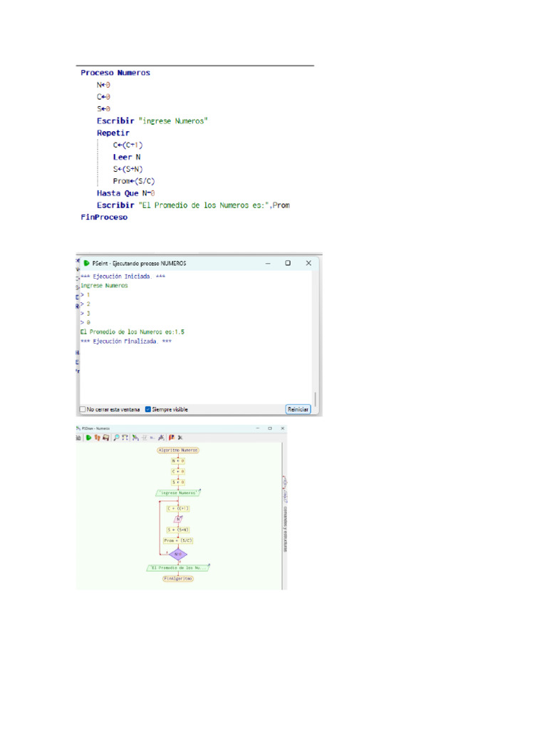 Bucle Do While Word | PDF