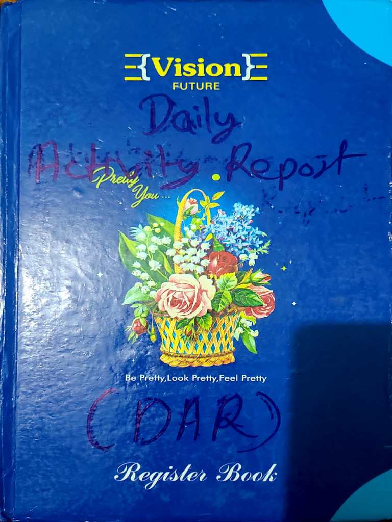 Daily Activity Report - DAR | PDF