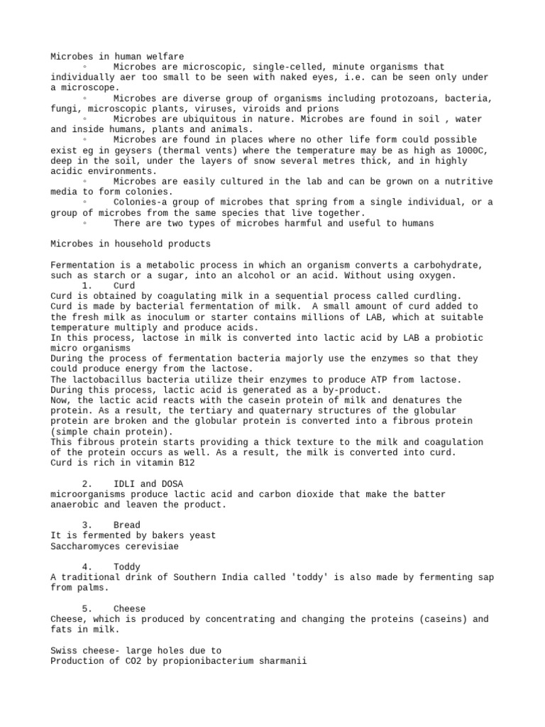 Microbes 1 | PDF | Fermentation | Microorganism