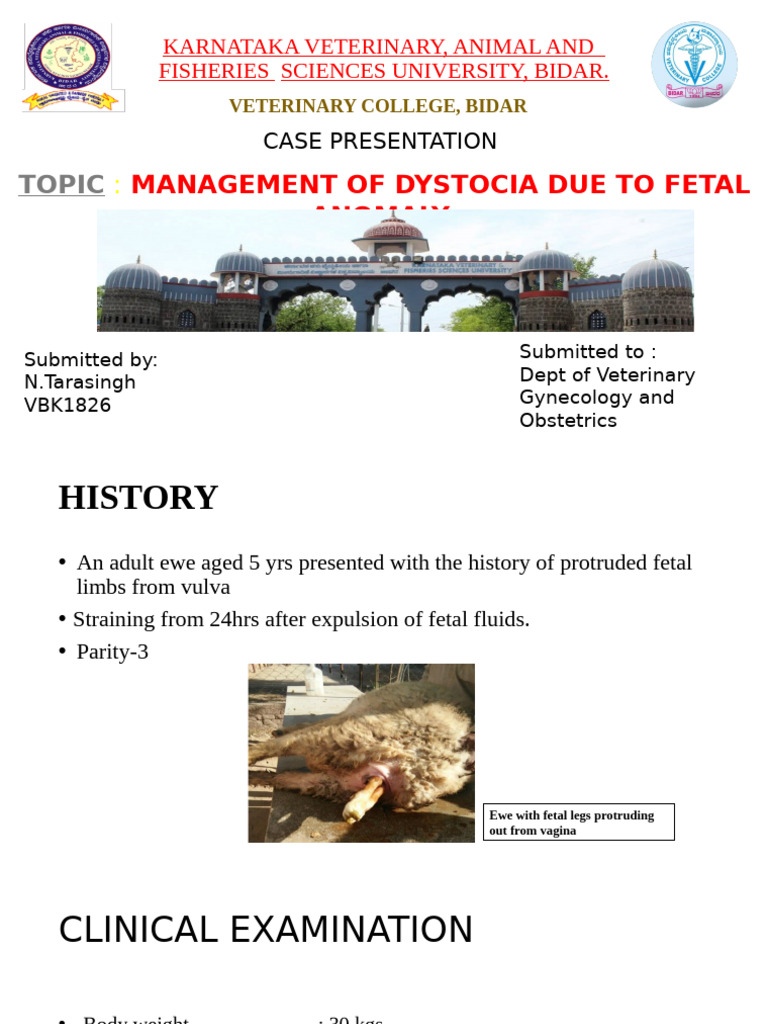 Dystocia Due To Fetal Anomaly | PDF