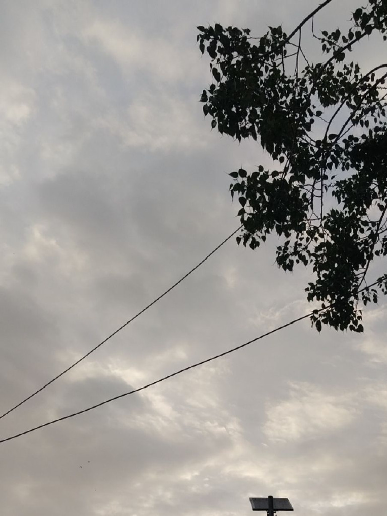 Scanned 20240623-0407 | PDF