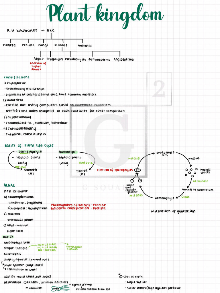 Plant Kingdom Short Notes | PDF