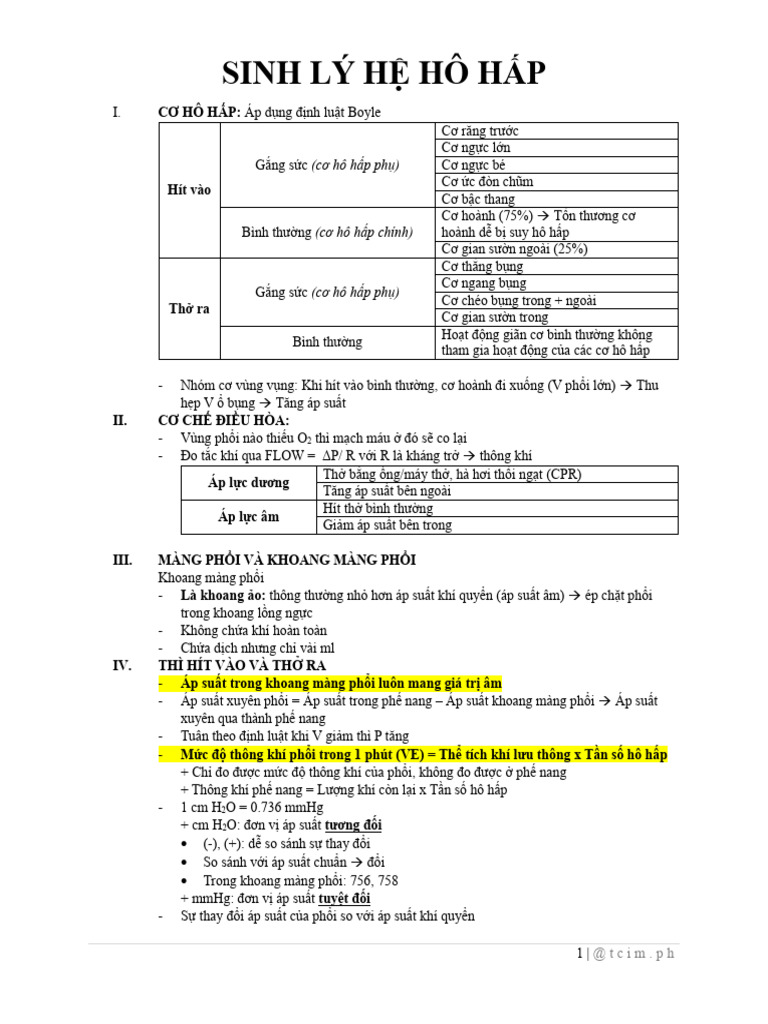 LT - Sinh Lý Hệ Hô Hấp | PDF