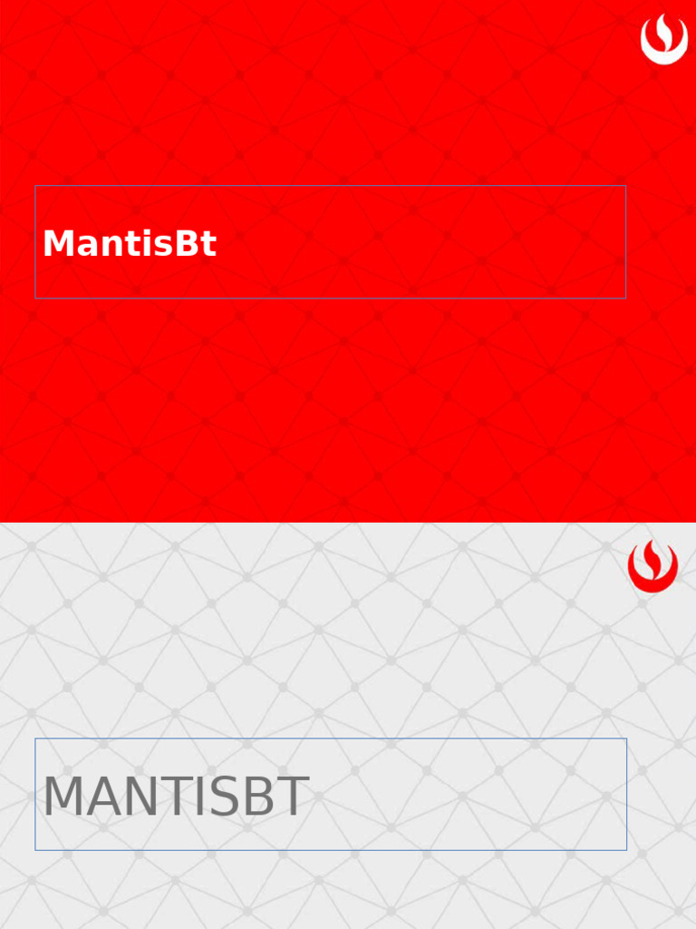 Unidad_01- S3 - Mantis_BT_Presentation 2024-2 | PDF