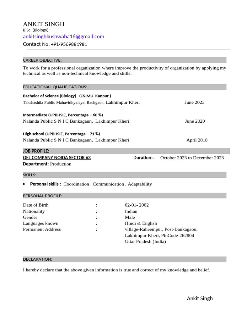 Ankit CV | PDF