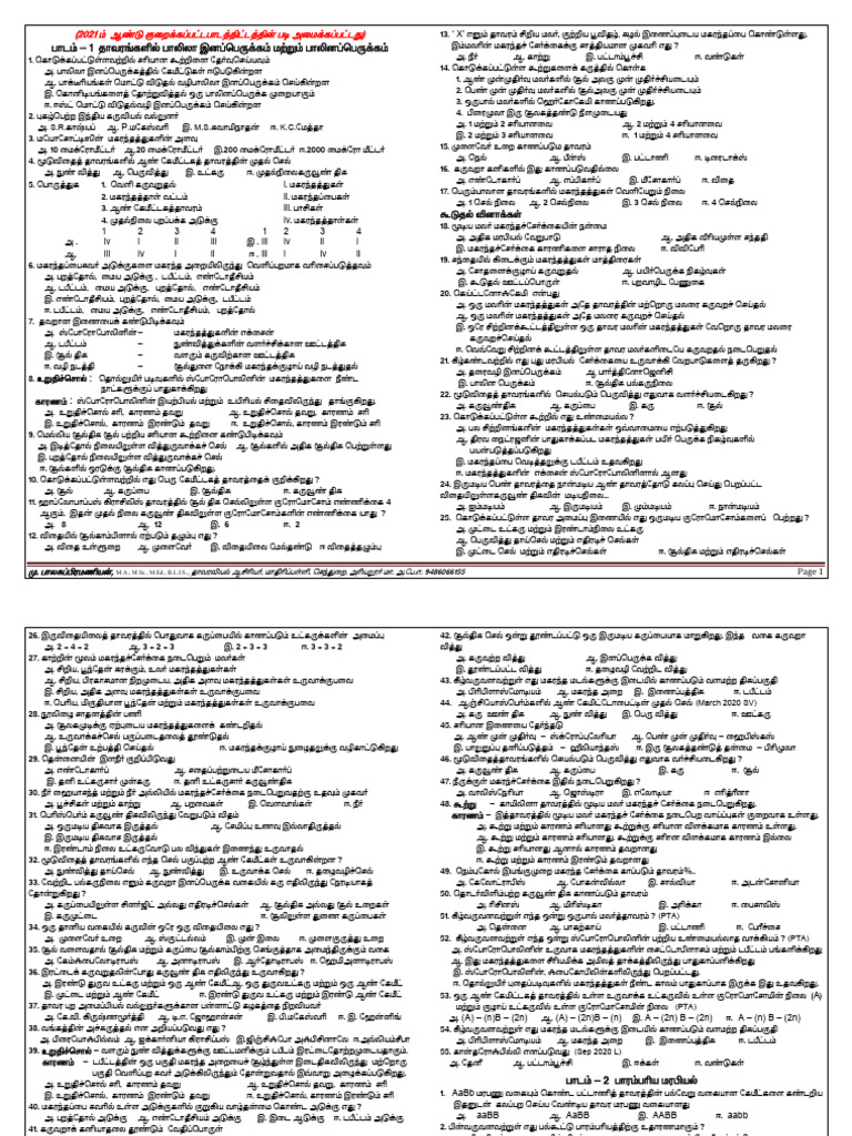 Ding dong ding dong | PDF