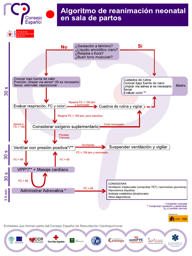 Algoritmo Reanimacion y Neonatal | PDF