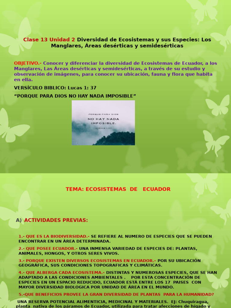Clase 13 Unidad 2 Diversidad Ecosistemas y Sus Especies Los Manglares ...