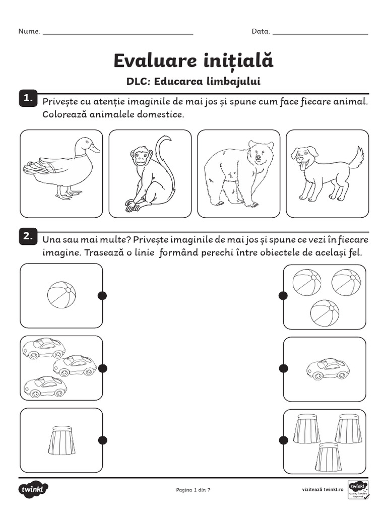 Ro1 T 1720695541 Evaluare Initiala Grupa Mijlocie Fise de Activitate Set 2 Ver 2 | PDF