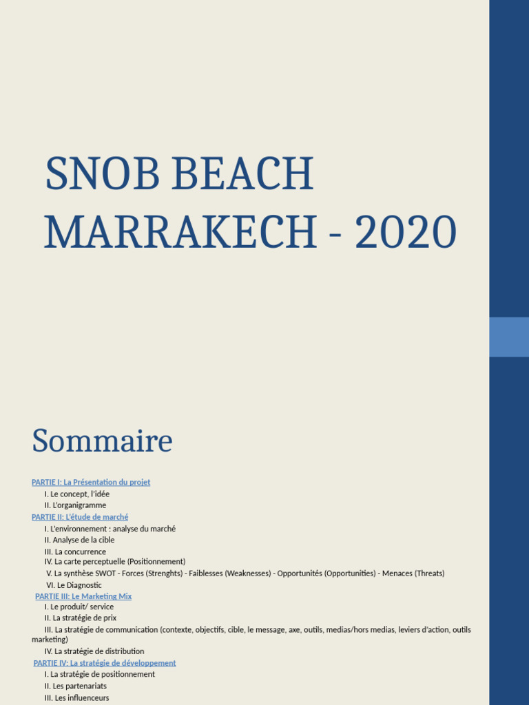 Snob Beach - Business Plan | PDF