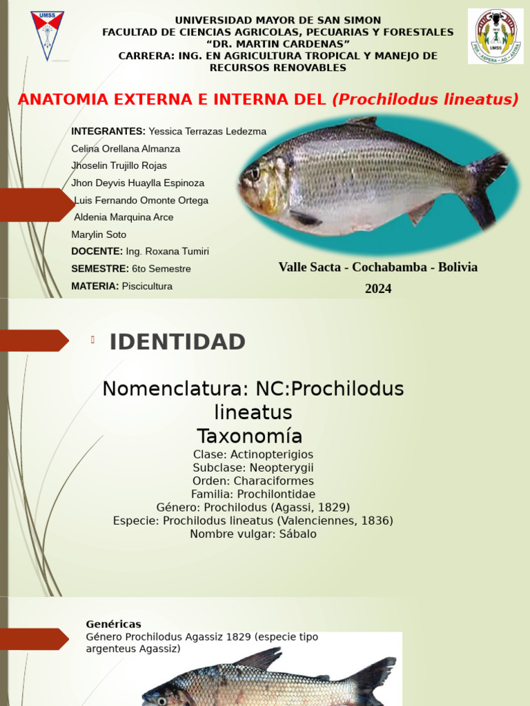 Exposicion Sabalo | PDF