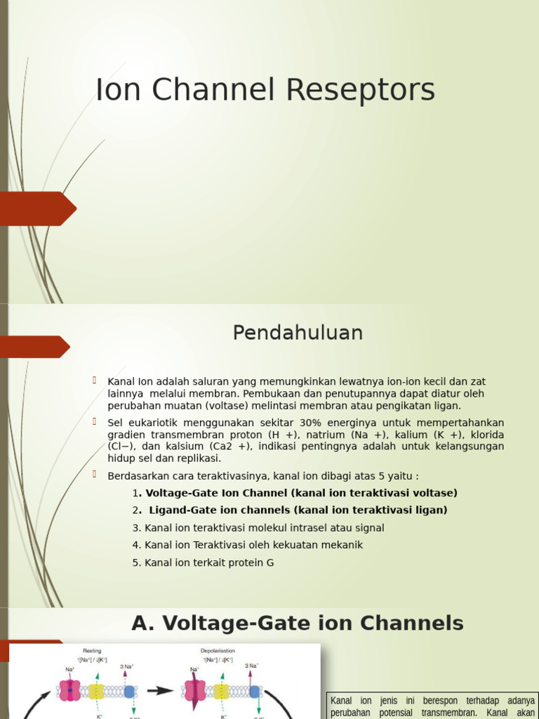 ION CHANNEL RESEPTOR Edit | PDF