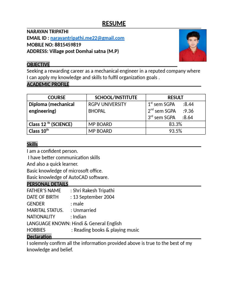 RESUME Narayan Tripathi | PDF