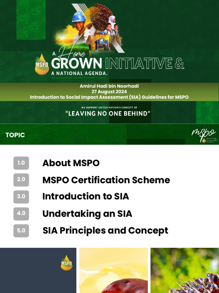 Introduction To SIA (MSPO) | PDF | Sustainability | Risk
