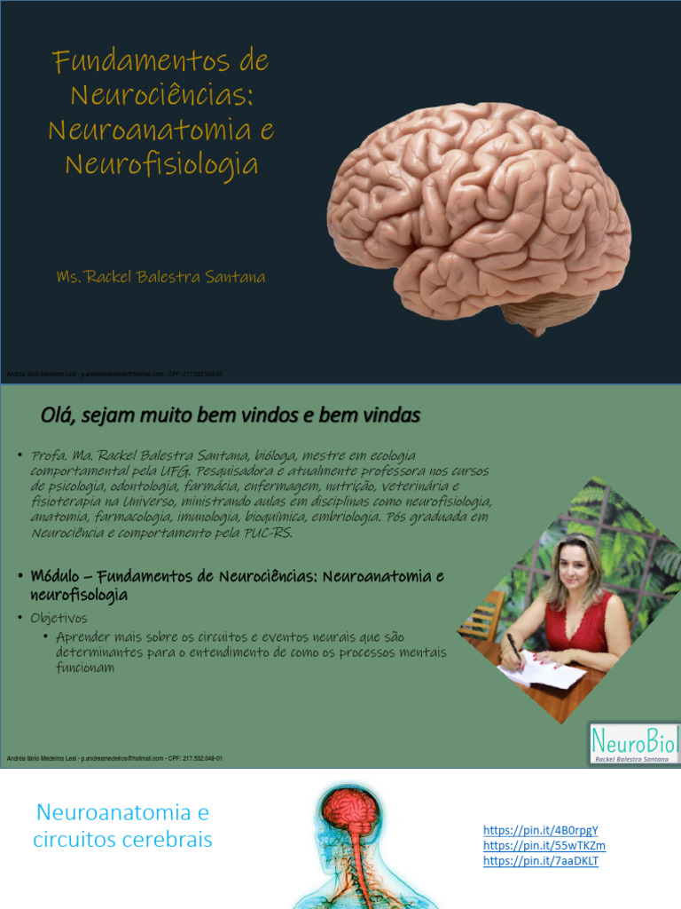 Neuroanatomia e Circuitos Cerebrais | PDF