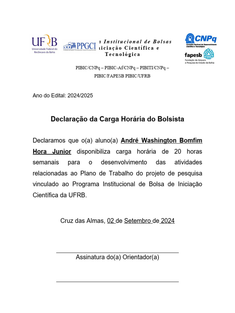 MODELO-DECLARAO-CARGA HORRIA 2024-2025 Bolsa CNPQ e UFRB Assinado | PDF
