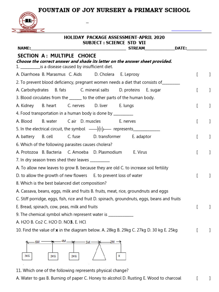 Holiday Package STD 7 No. 3 | PDF