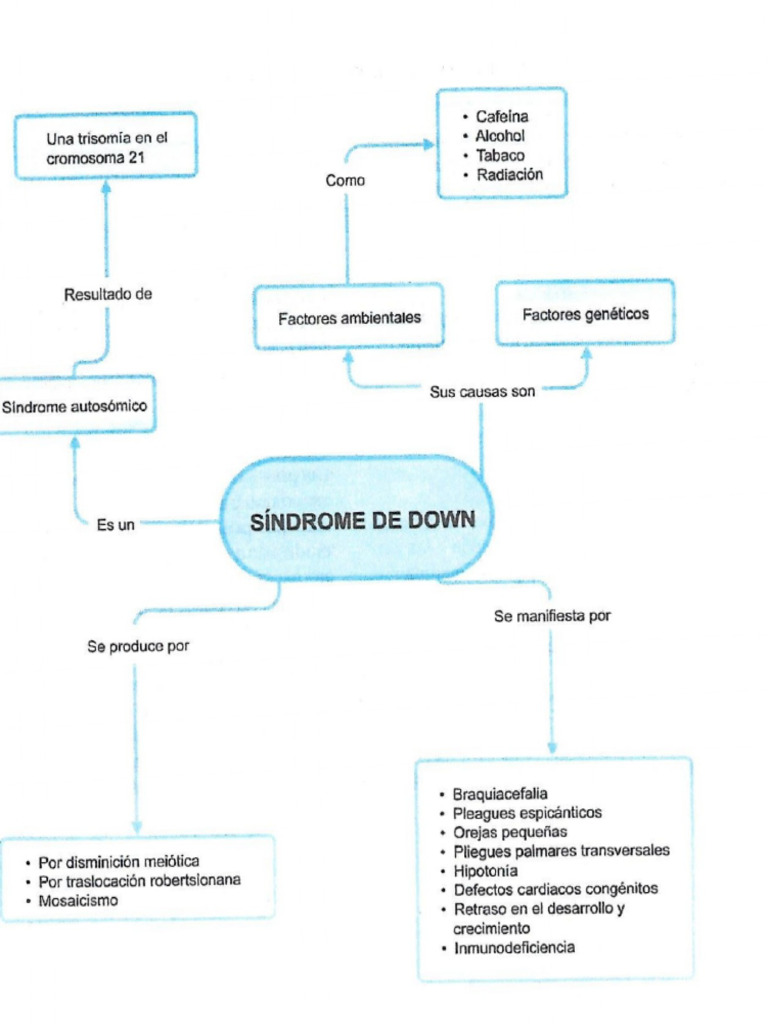 Síndrome de Dow | PDF