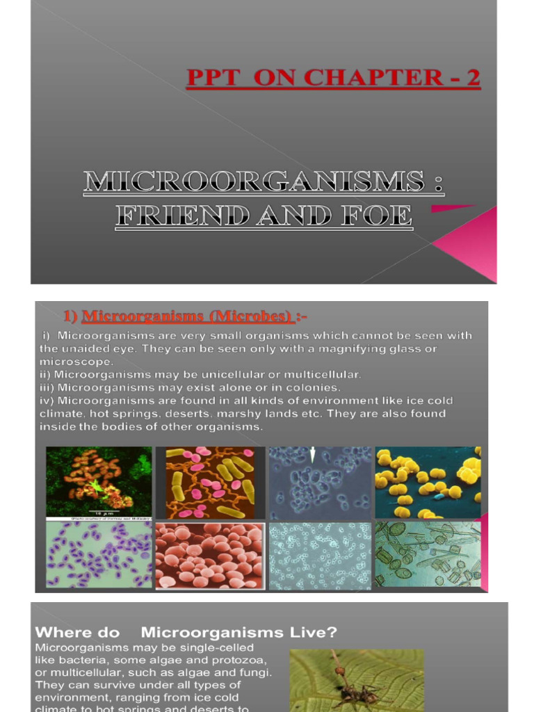 Class8 Chapter2 Science PPT Microorganisms 1 | PDF