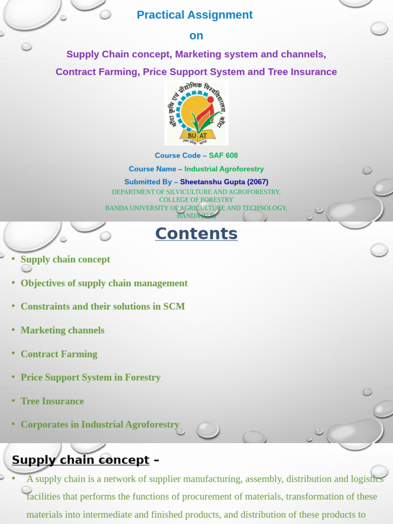 SAF 608 Practical Assignment | PDF