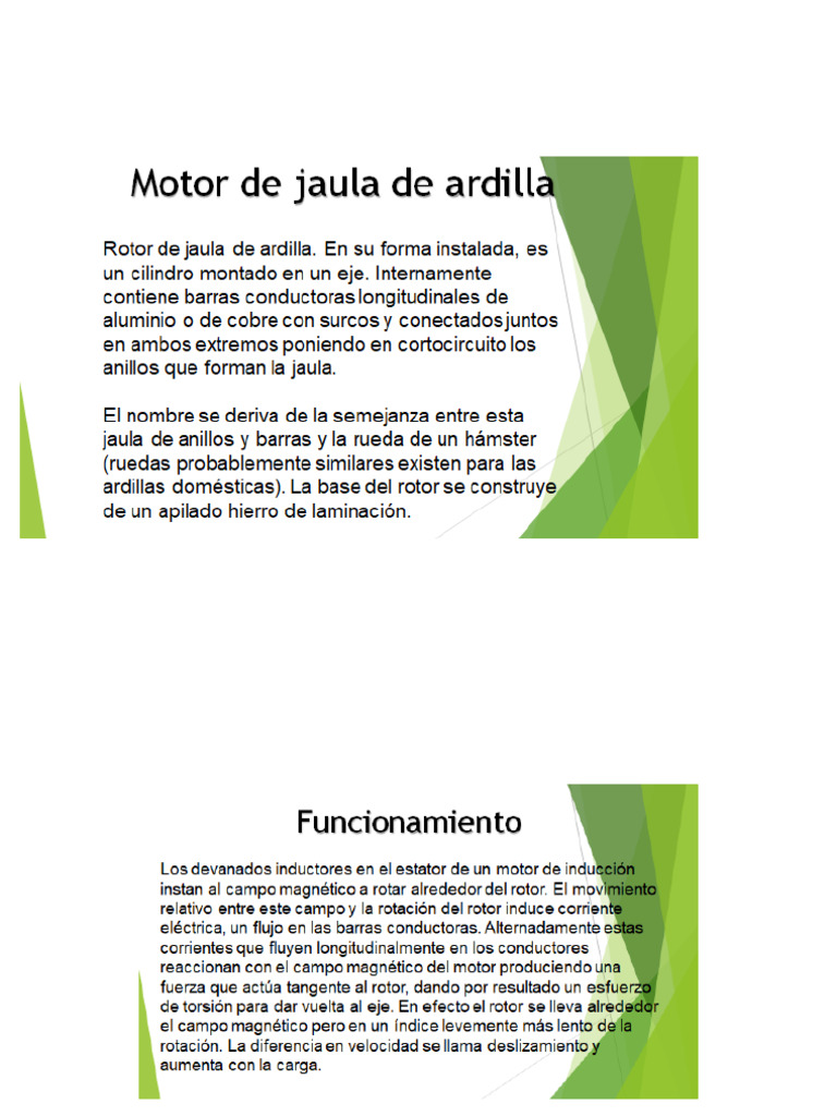 Definicion Motor Jaula de Ardilla | PDF