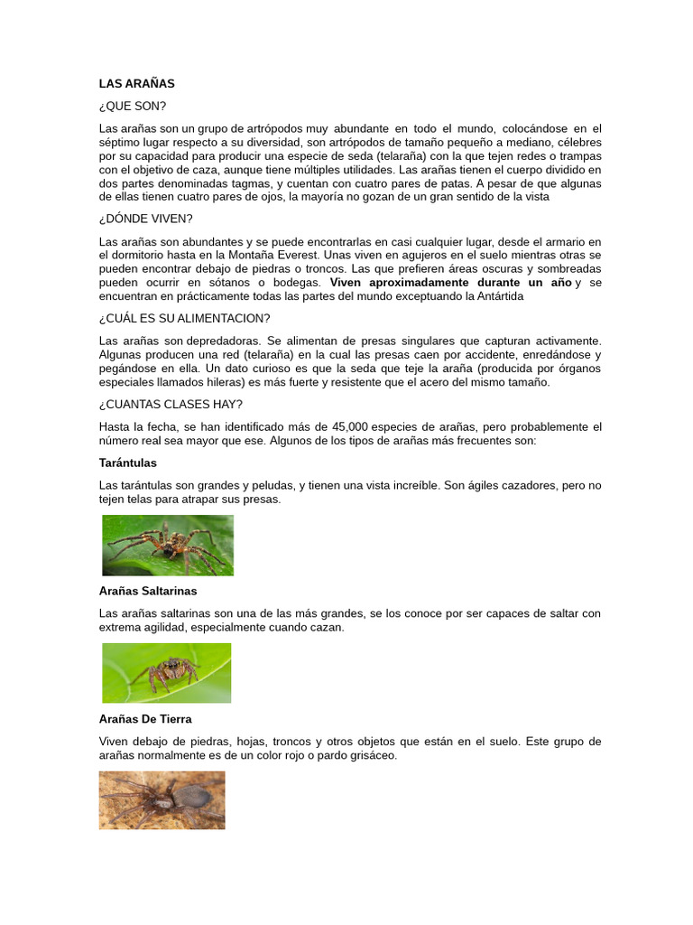 La Araña | PDF