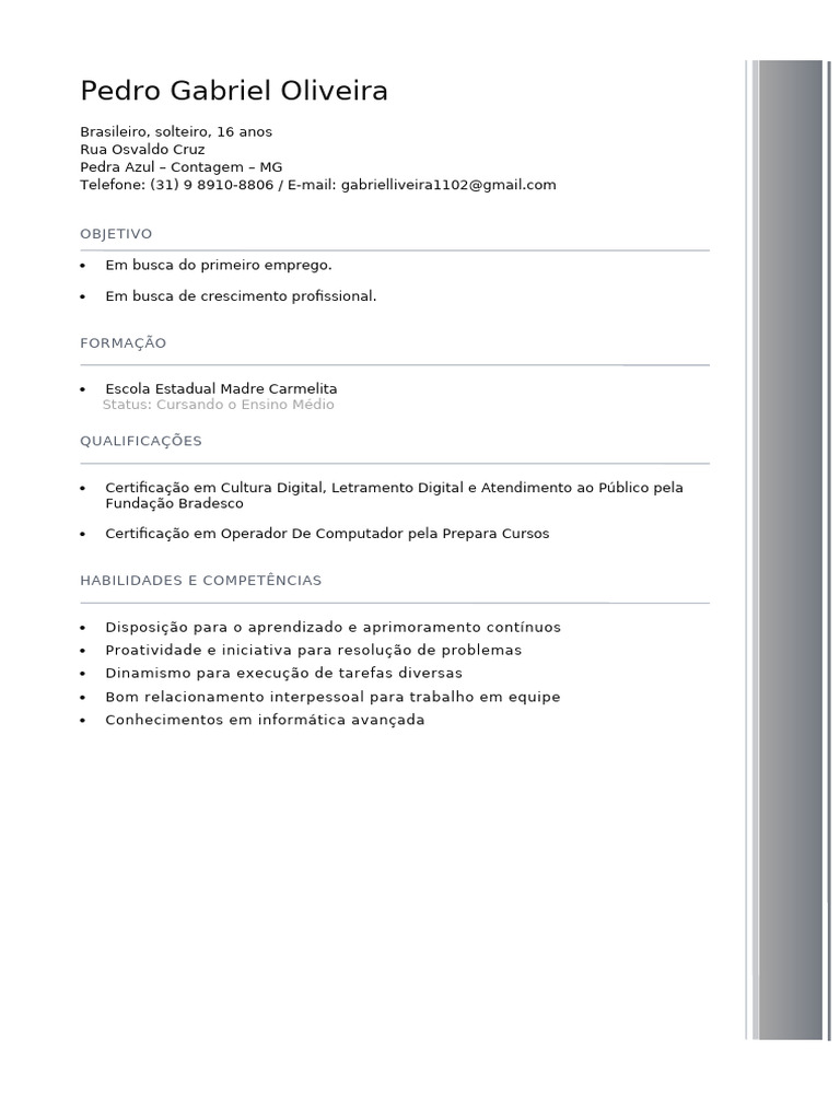 Modelo de Curriculum 1 Preenchido | PDF