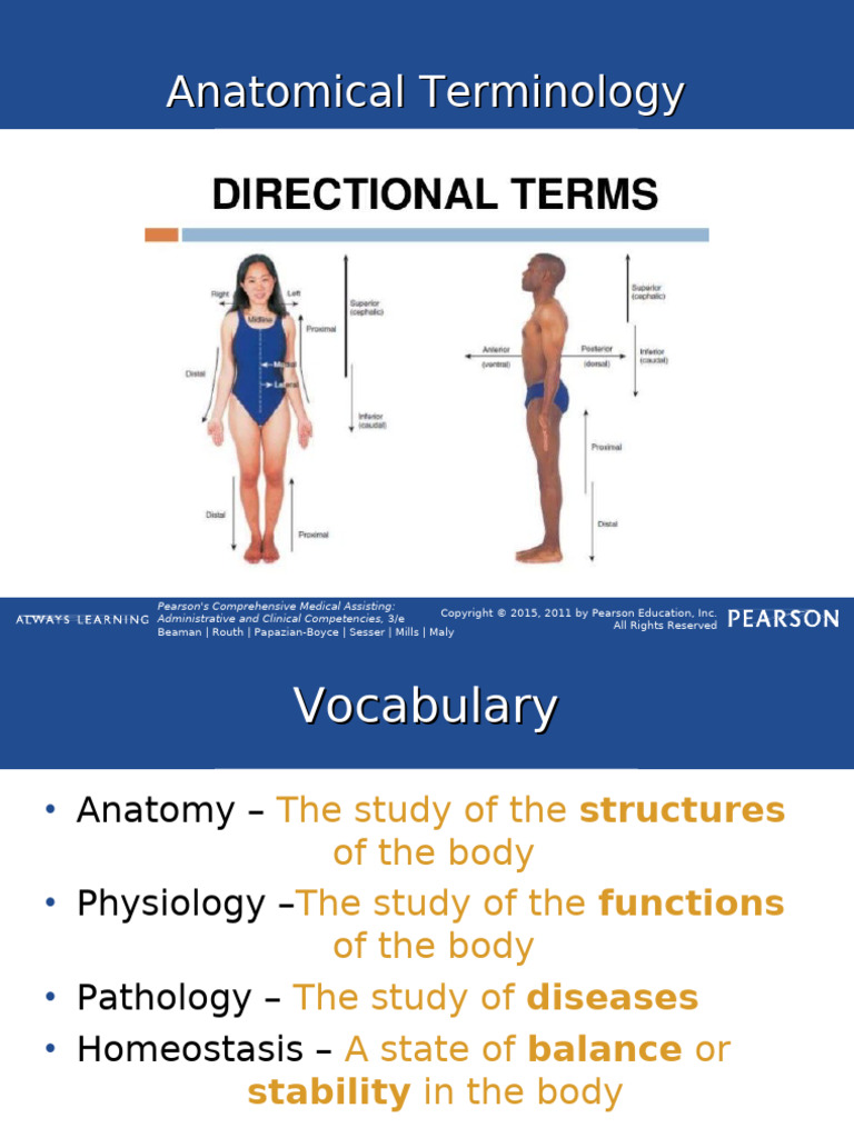 Anatomical Terminolgy ppt | PDF