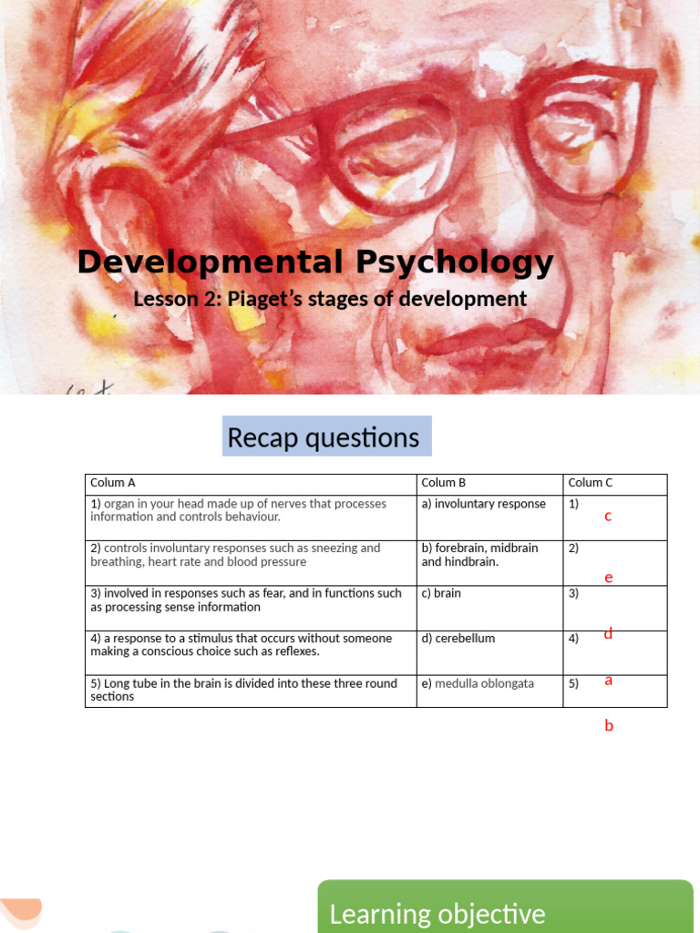 Development Lesson 2 Piaget Stages of Development | PDF